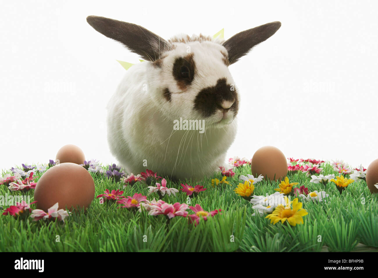 Rabbit with bows on Easter meadow Stock Photo - Alamy