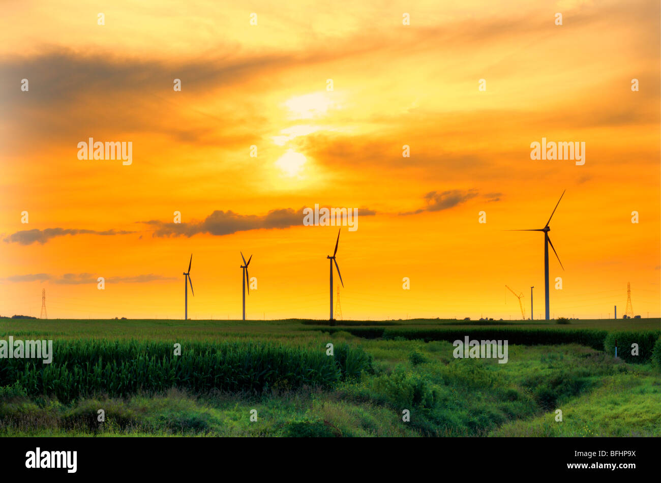 Corn field midwest windmill hi-res stock photography and images - Alamy
