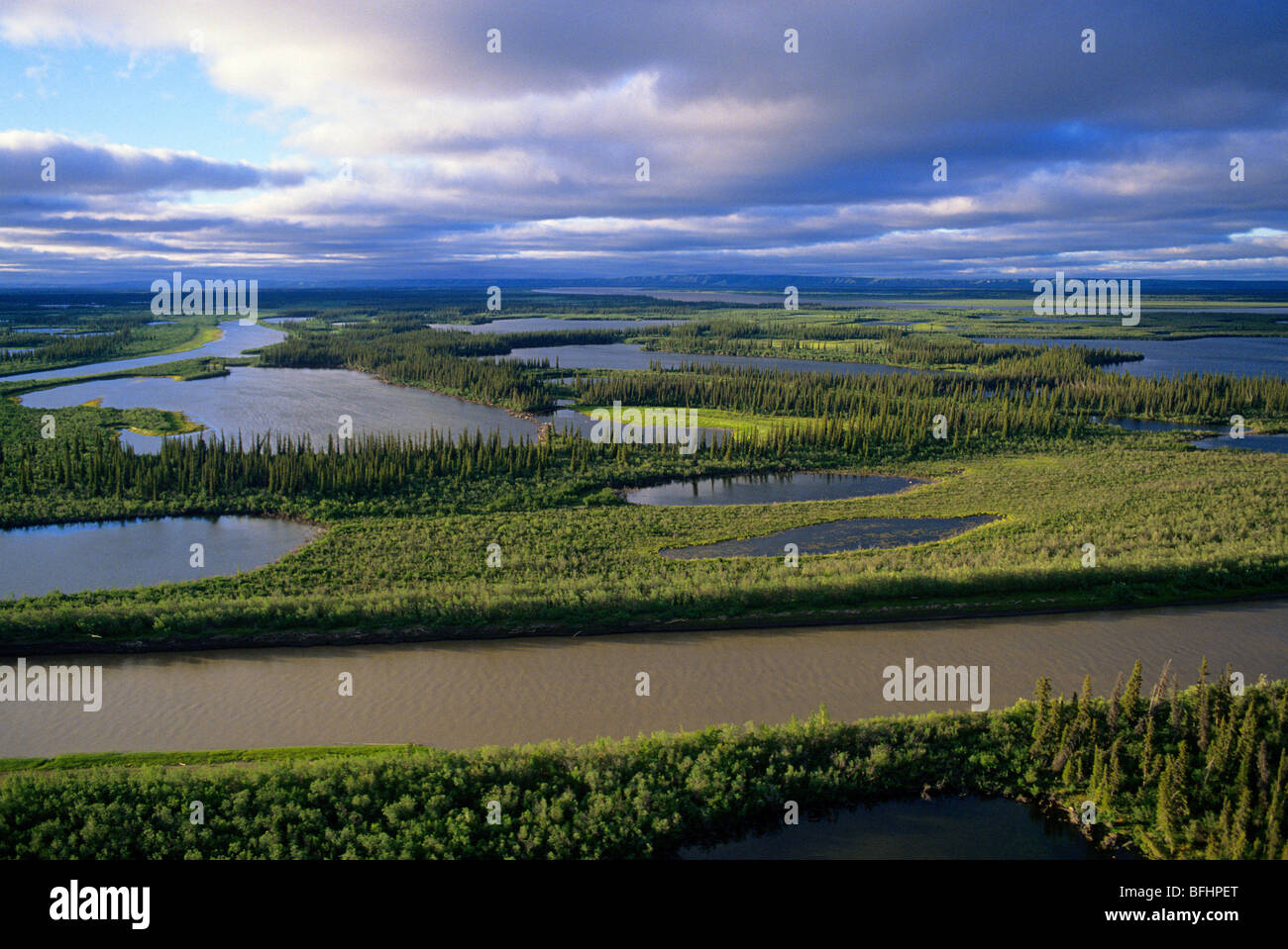 Aerial view of the Mackenzie River Delta, Northwest Territories, Arctic ...