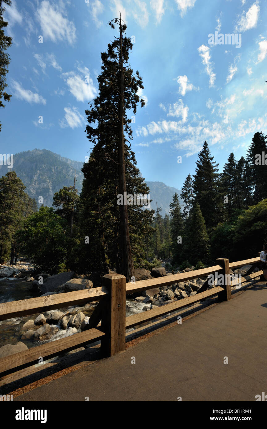 A bridge over a stream in Yosemite national park, California, USA Stock ...