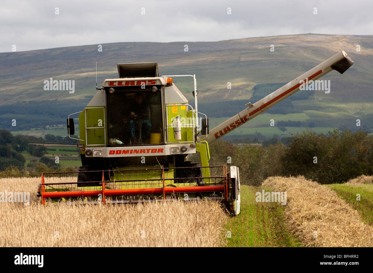 Class combine harvester hi-res stock photography and images - Alamy