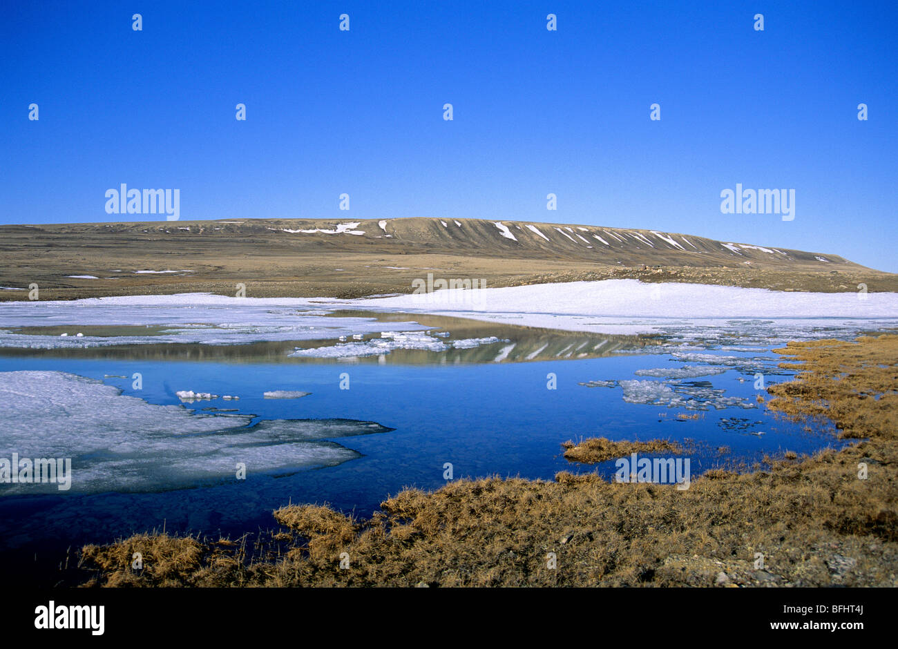 Mount Pelly, Victoria Island, Nunavut, Canada Stock Photo - Alamy