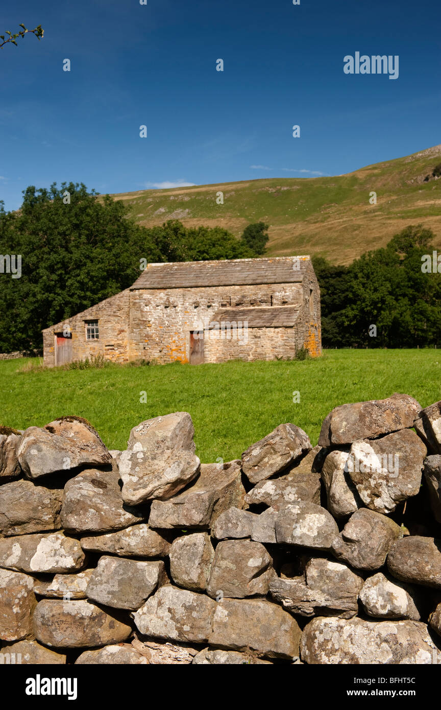 Peaceful scene yorkshire farm in swaledale hi-res stock photography and ...