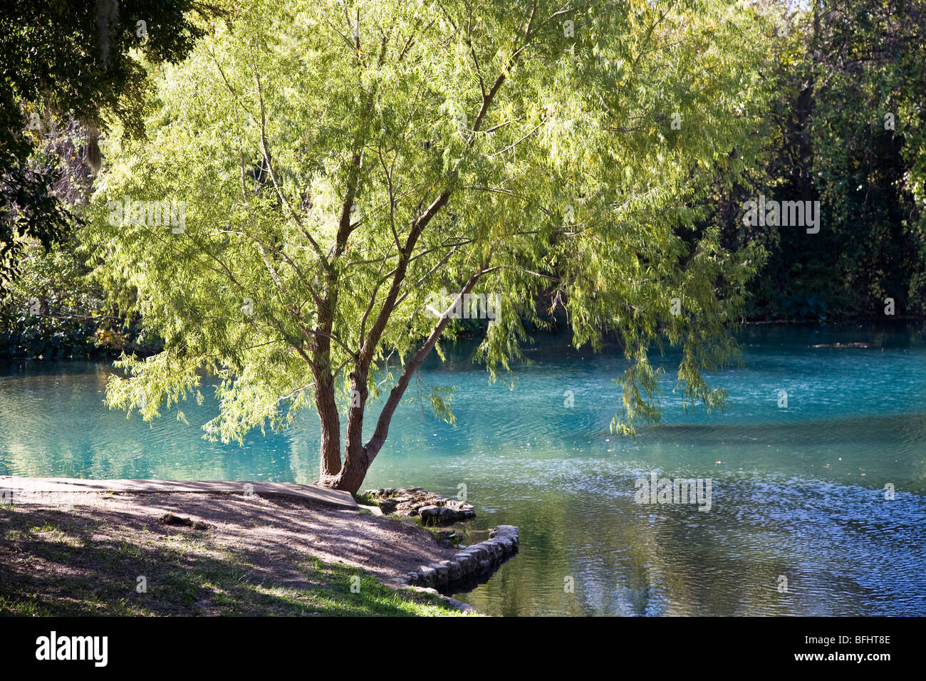 The Comal River flows from the largest natural spring system in Texas ...