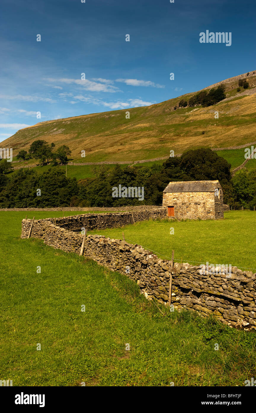 Peaceful scene yorkshire farm in swaledale hi-res stock photography and images - Alamy