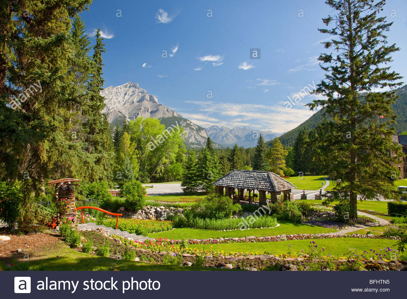 Banff National Park Flowers Stock Photos & Banff National Park Flowers ...