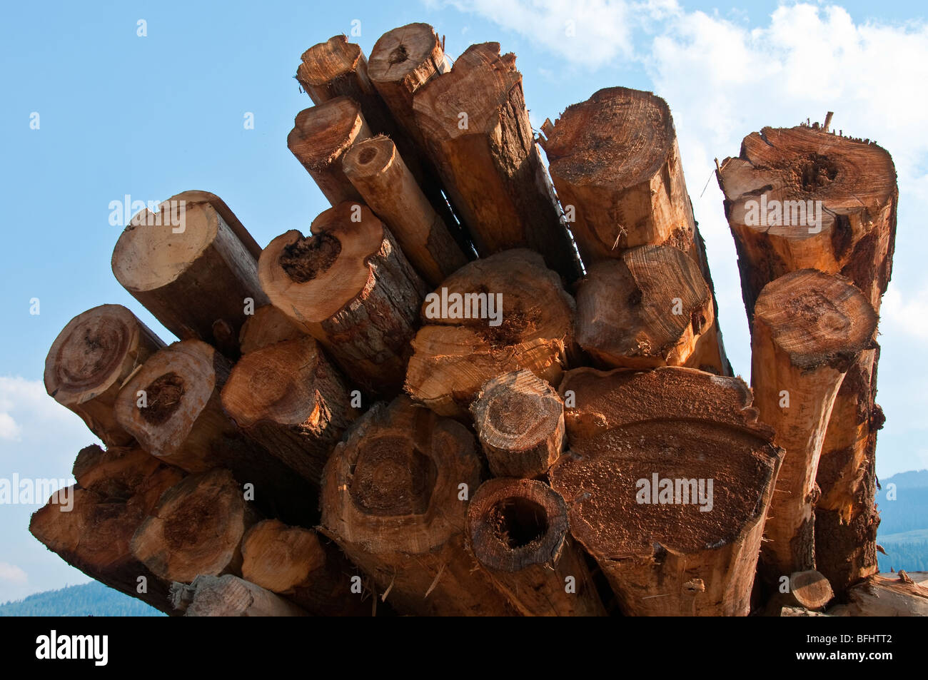 Core Logging High Resolution Stock Photography and Images - Alamy
