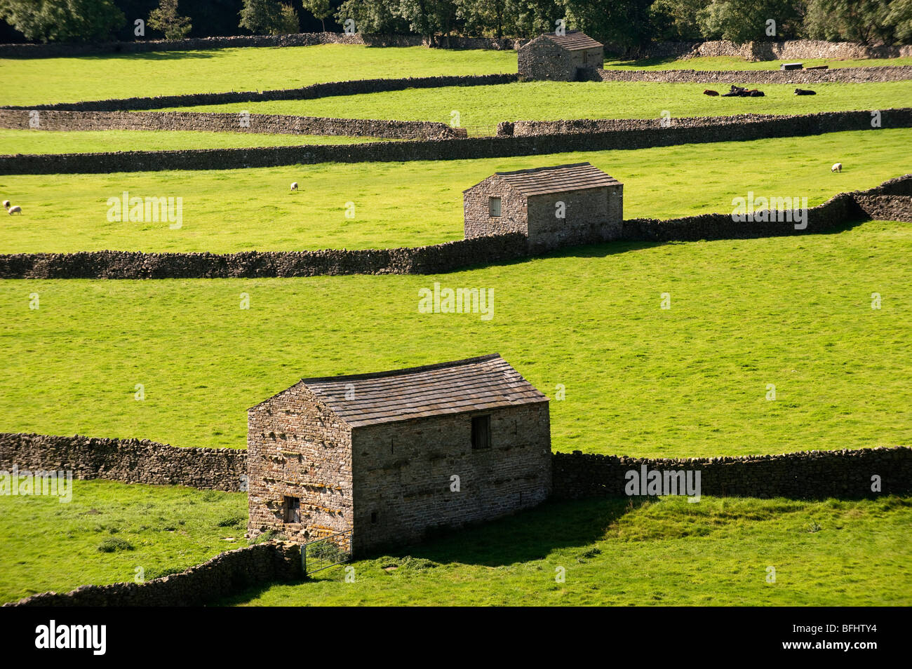 Peaceful scene yorkshire farm in swaledale hi-res stock photography and ...