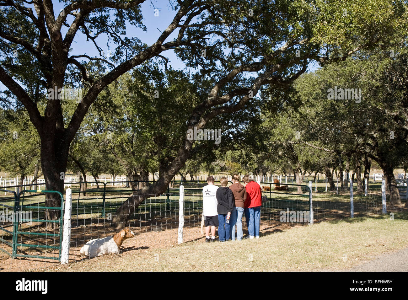 Youngsters observe goats during a tour of the LBJ Ranch, Lyndon B ...