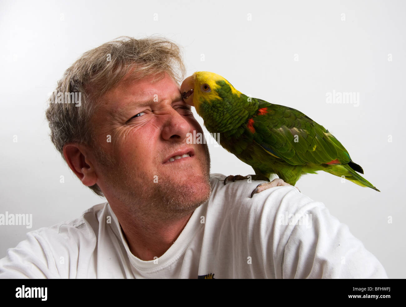 Pet parrot hi-res stock photography and images - Alamy