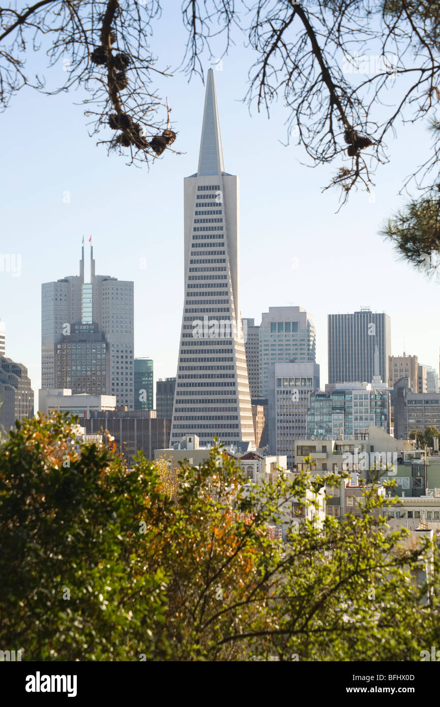 Transamerica Pyramid, San Francisco, California Stock Photo - Alamy