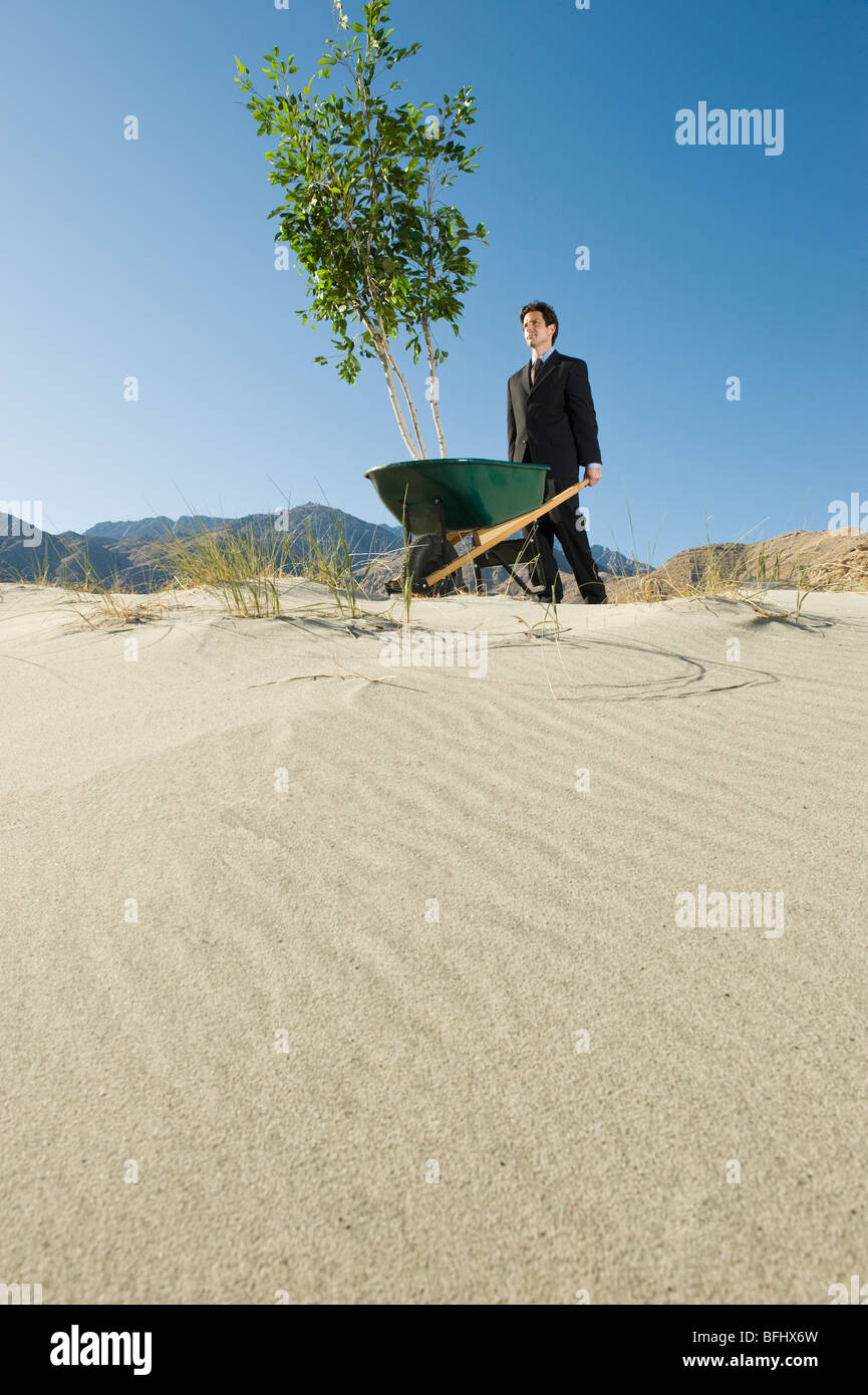 Businessman Pushing Wheelbarrow and Tree in the Desert Stock Photo - Alamy