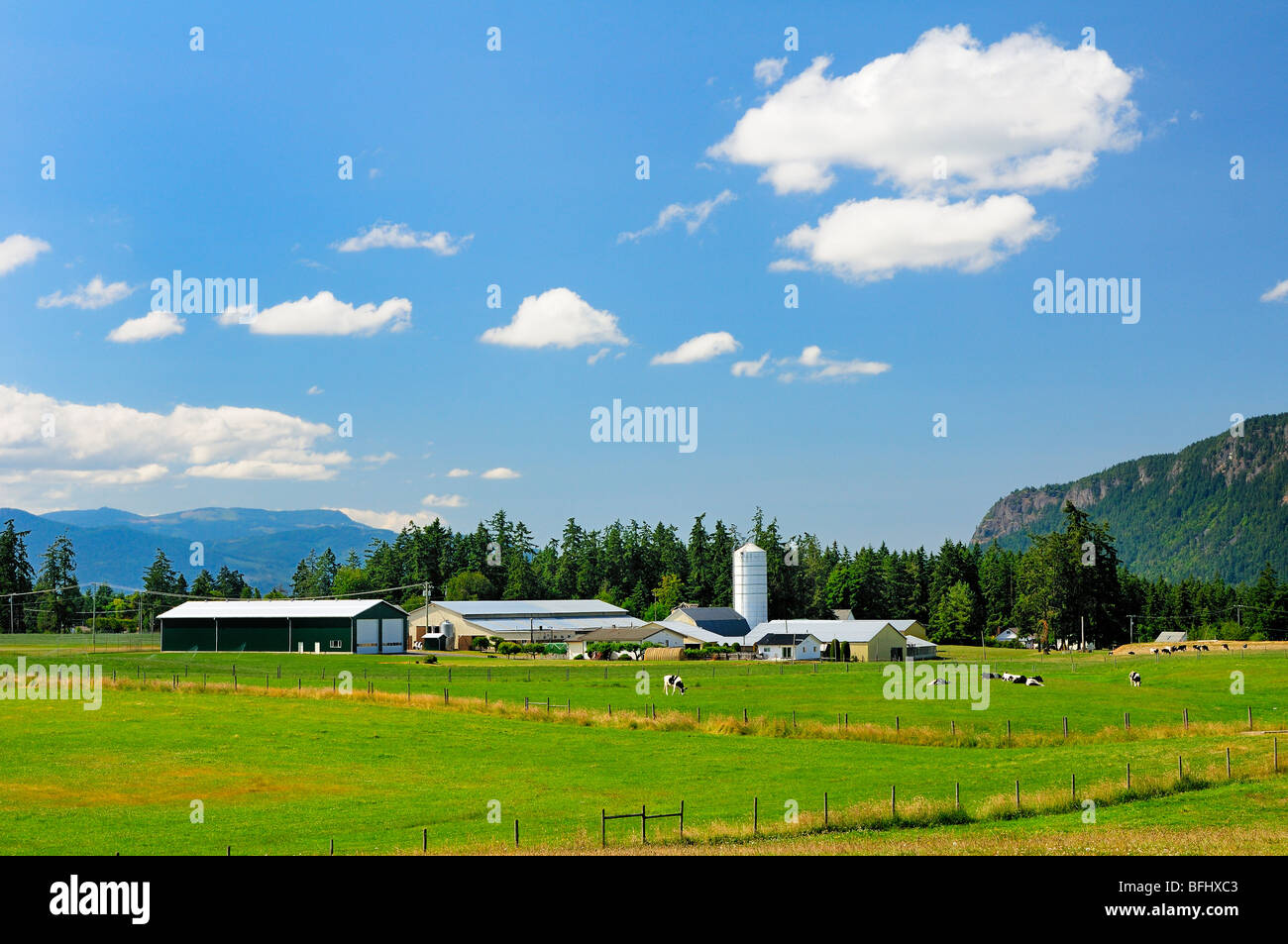 Bay farm hi-res stock photography and images - Alamy