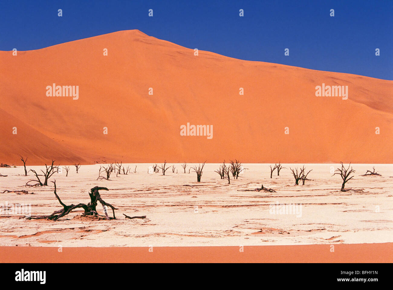 Dead tree skeletons and cracked clay surrounded by sand dunes Dead Vlei ...