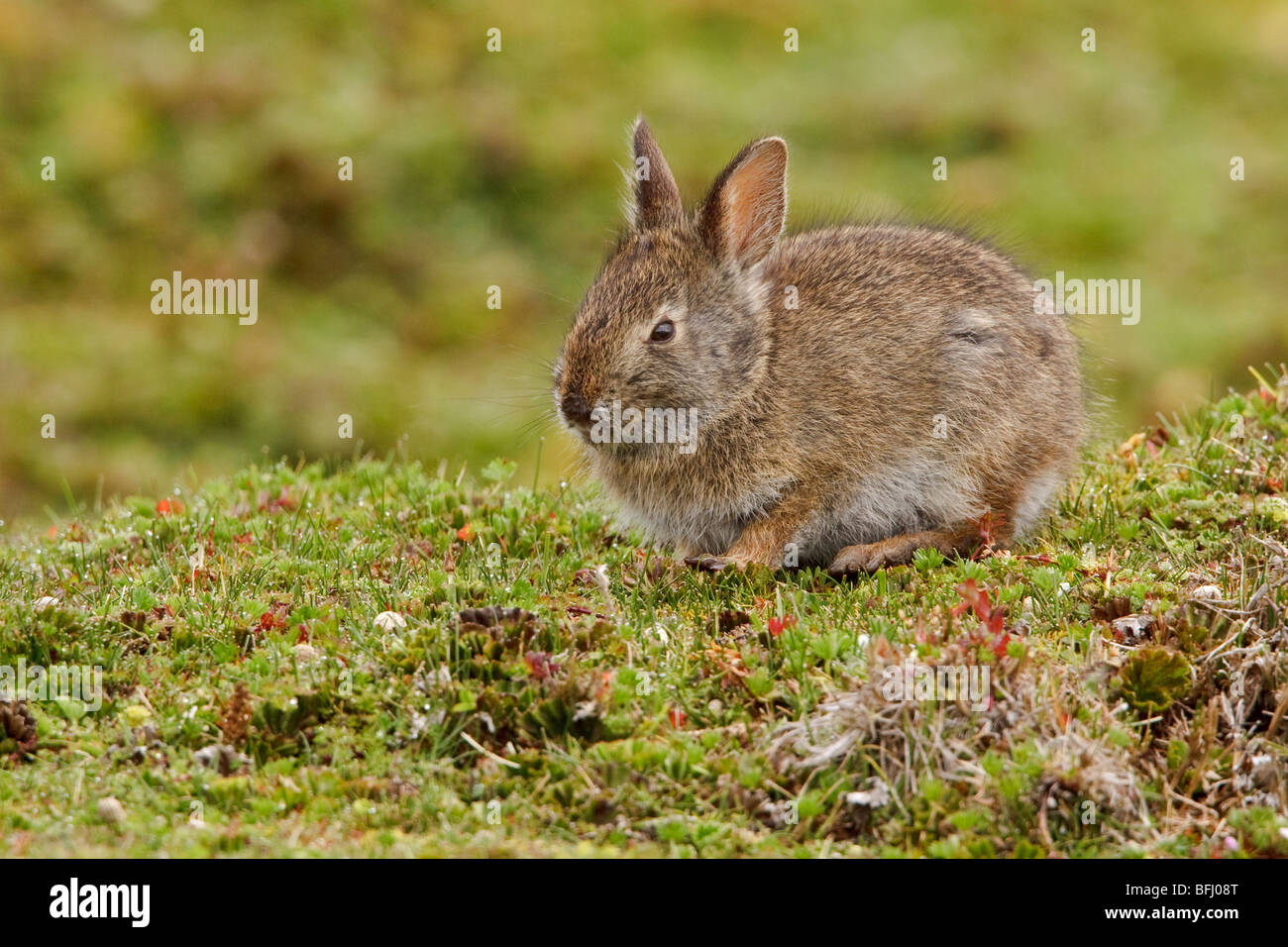 Tourism ecuador hi-res stock photography and images - Alamy