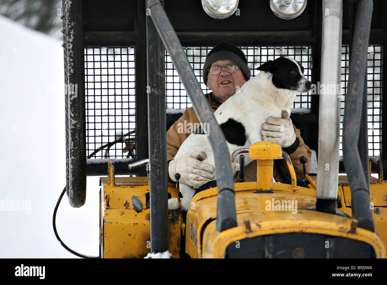 Cat bulldozer hi-res stock photography and images - Alamy
