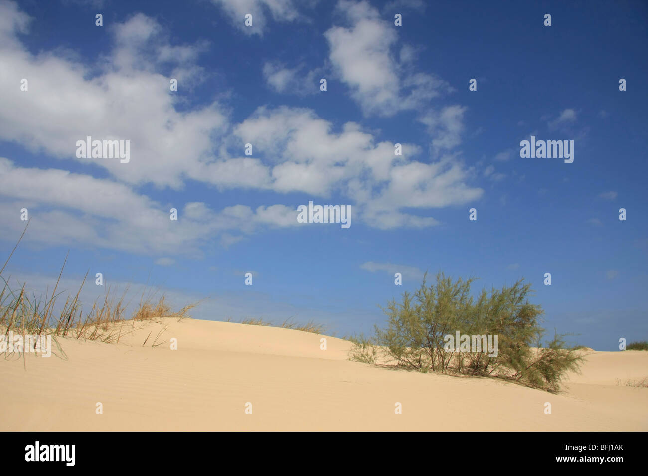 Sand dunes in israel hi-res stock photography and images - Alamy