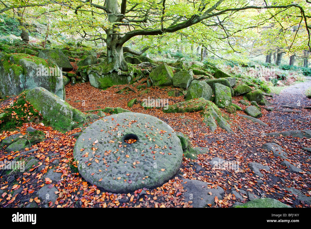Padley Gorge in the Autumn in the Peak District National Park Stock ...