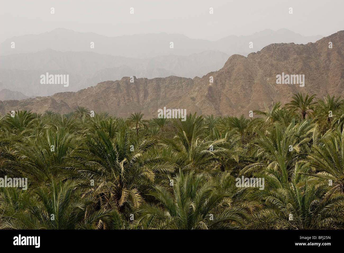 Bidyah, UAE, View from watchtower of area surrounding Al Bidyah Mosque ...