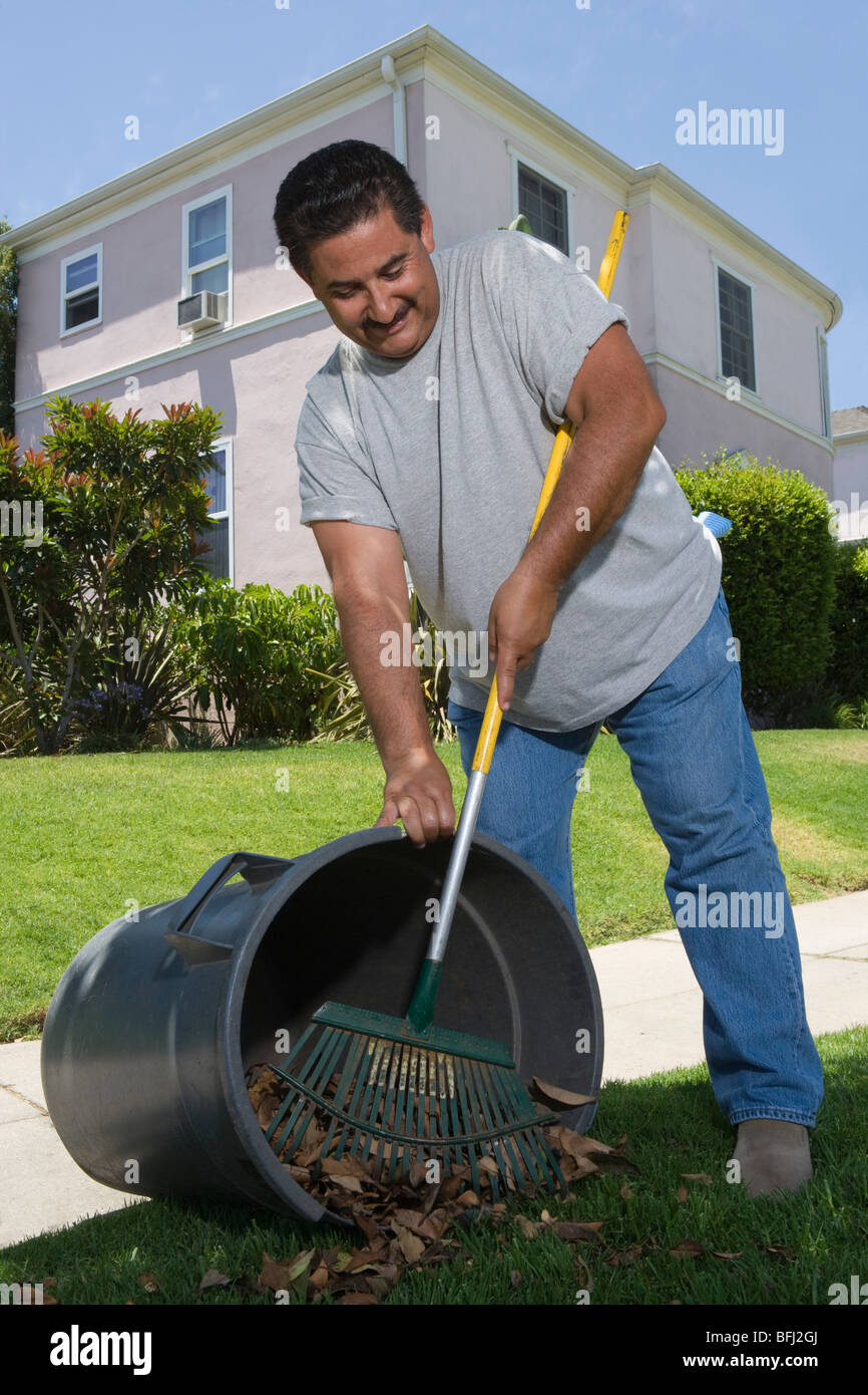 Man raking leaves in garden Stock Photo - Alamy