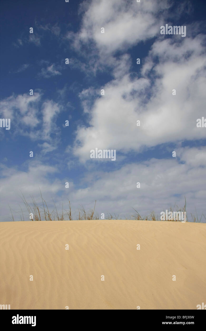 Israel, Sharon region. Sand dunes in Michmoret Stock Photo - Alamy