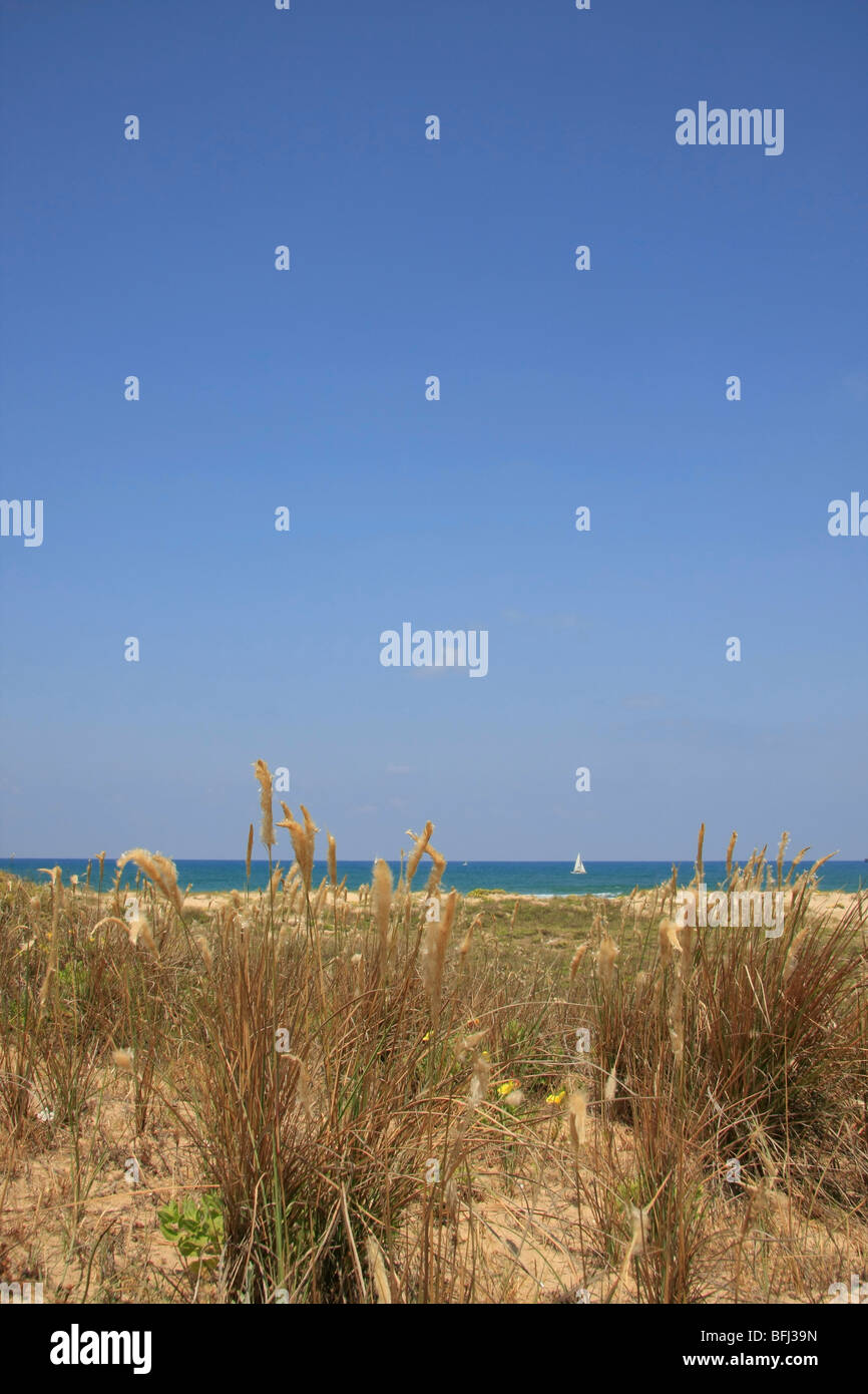 Israel, Sharon region, dunes at Hadera coast Stock Photo - Alamy