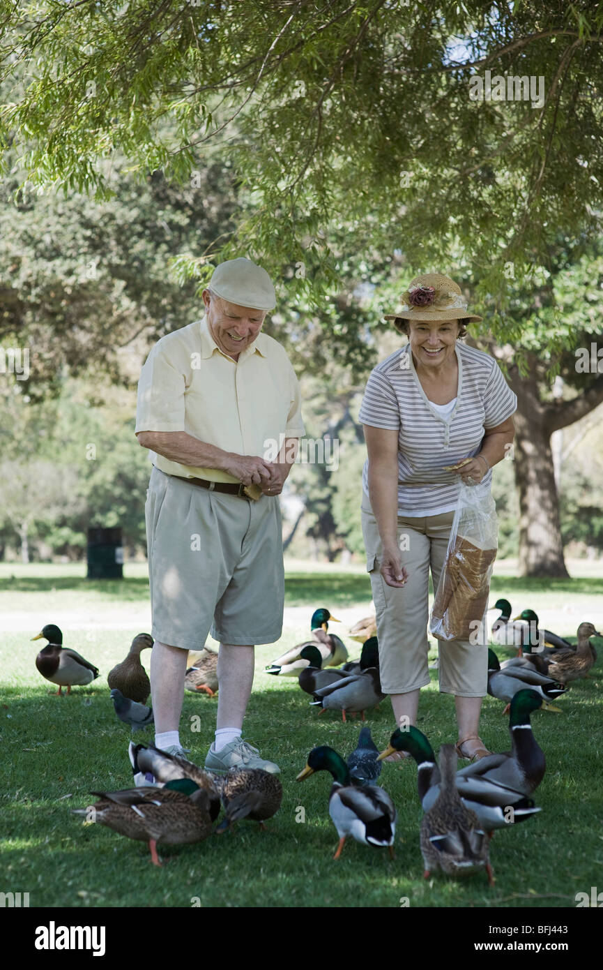 Man feeding duck hi-res stock photography and images - Alamy