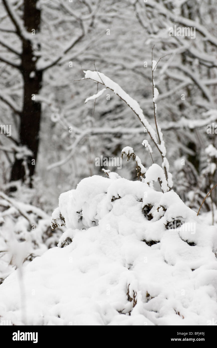 Cloudy weather first snow hi-res stock photography and images - Alamy