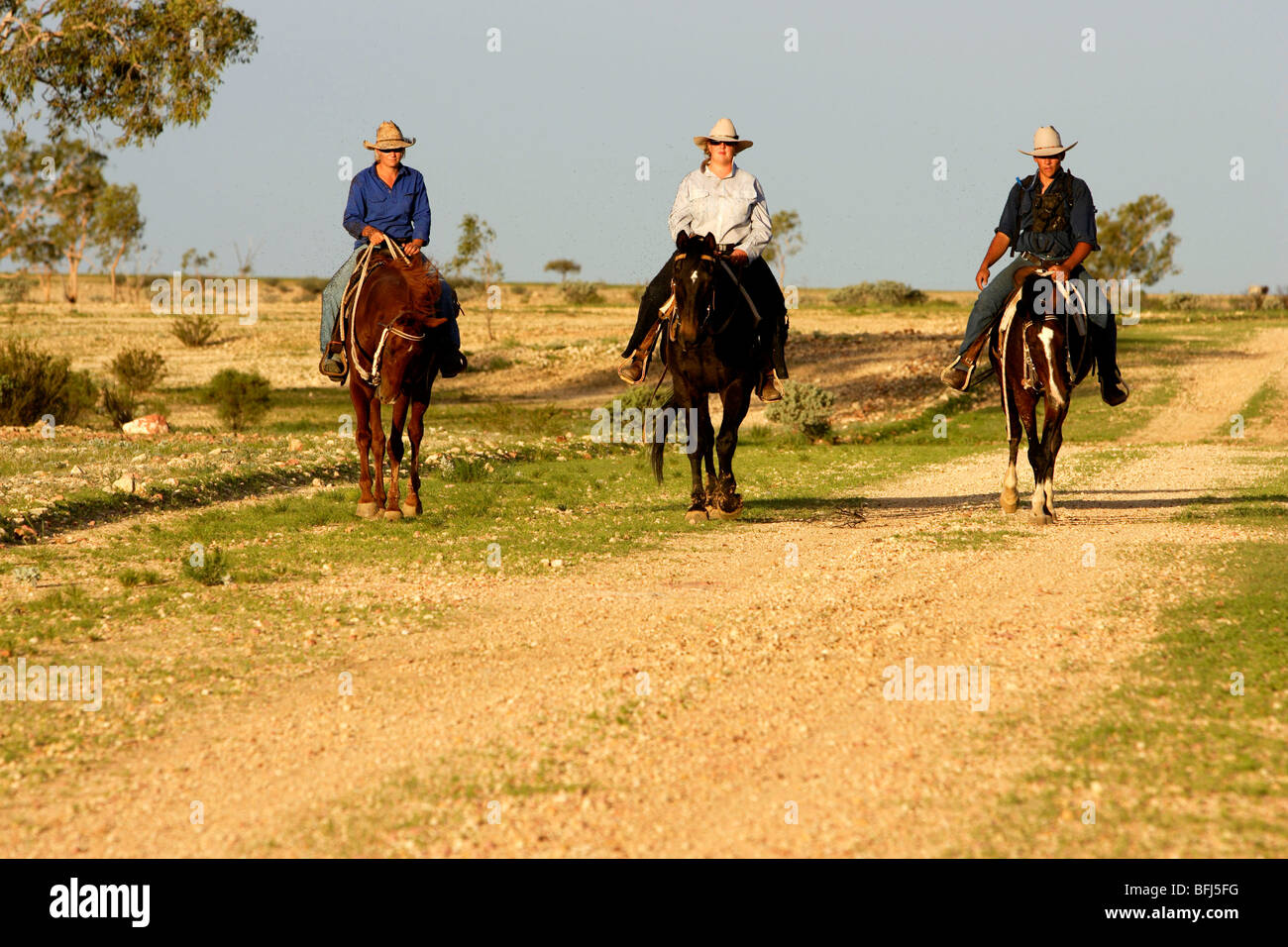 Flies in Outback Australia Stock Photo - Alamy