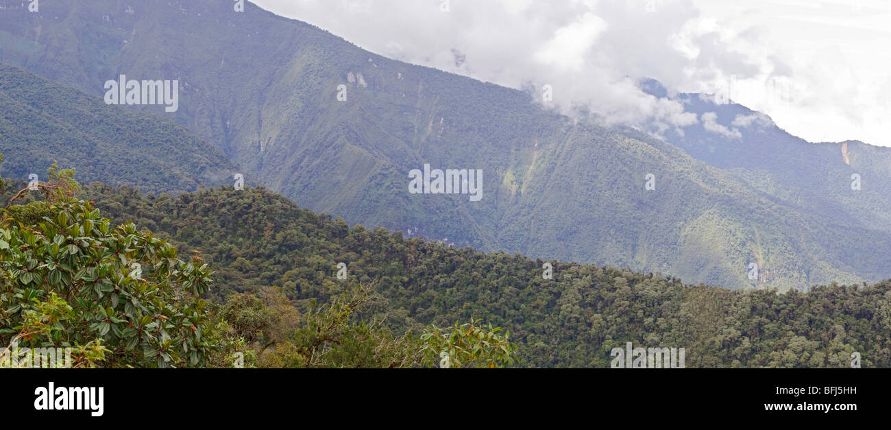 Views from the Yanacocha reserve near Quito, Ecuador Stock Photo - Alamy