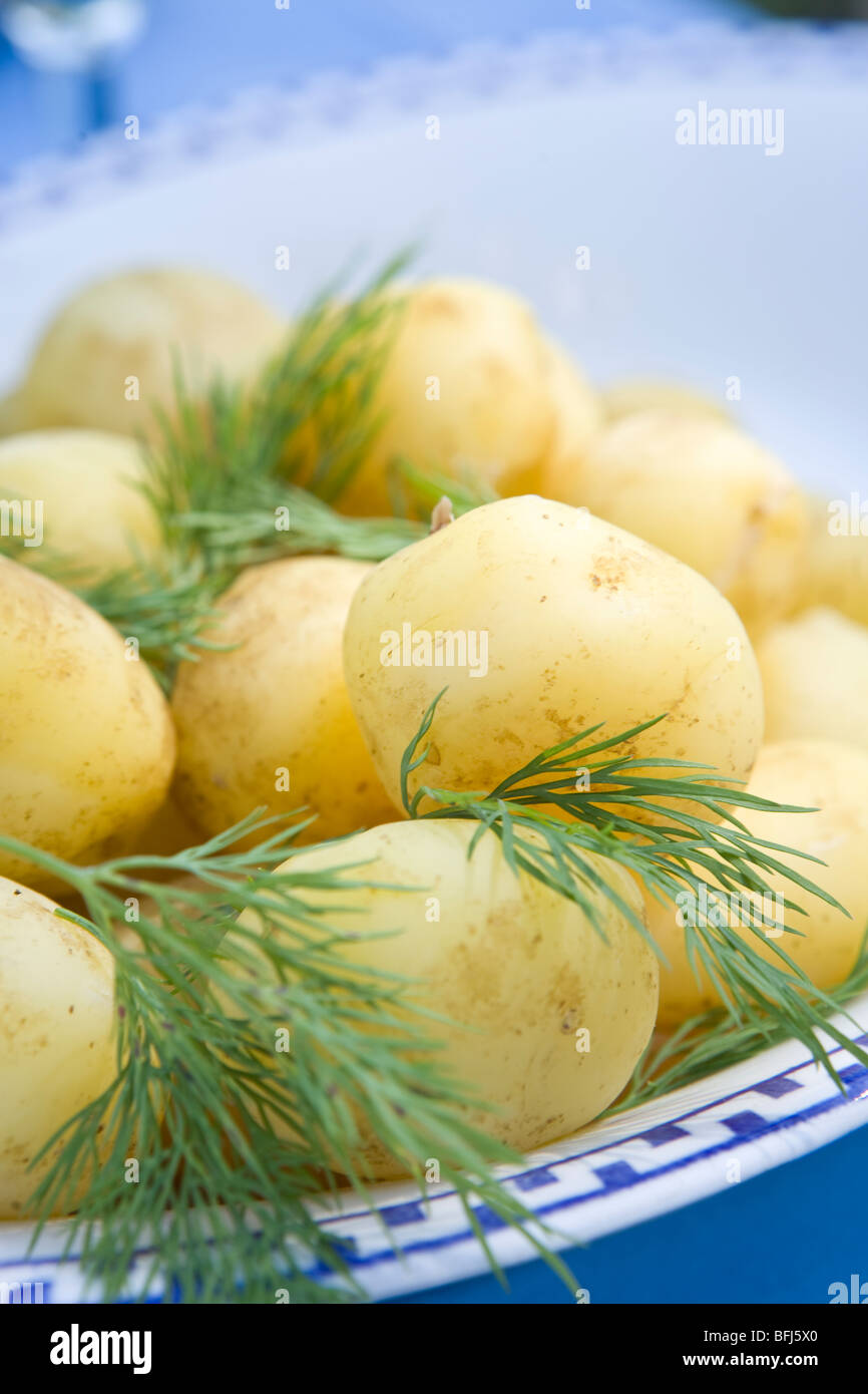 Swedish quality hi-res stock photography and images - Alamy