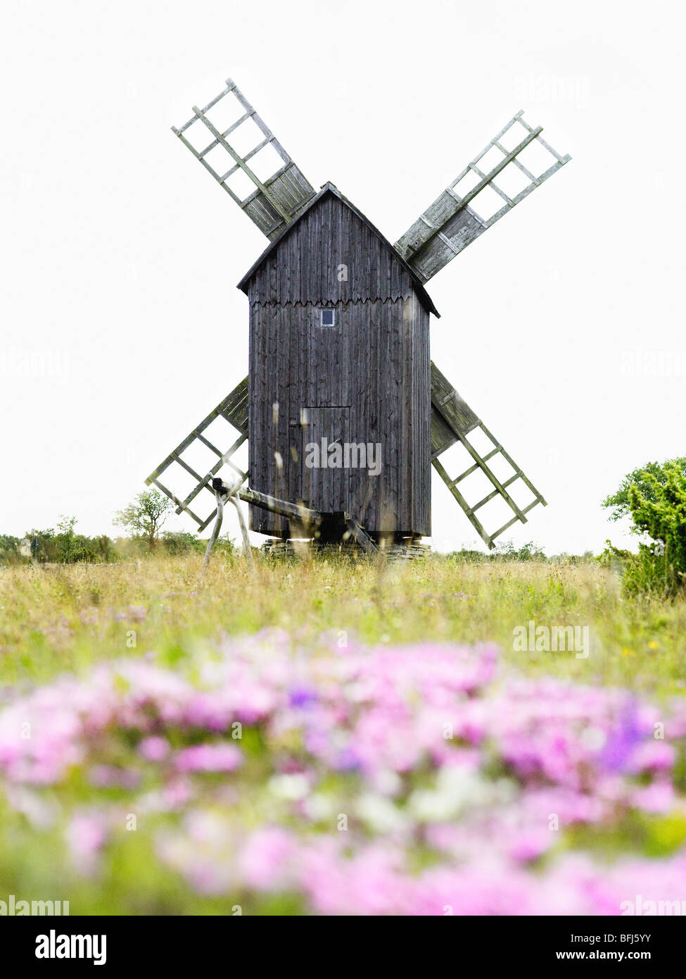 Purple windmill hi-res stock photography and images - Alamy