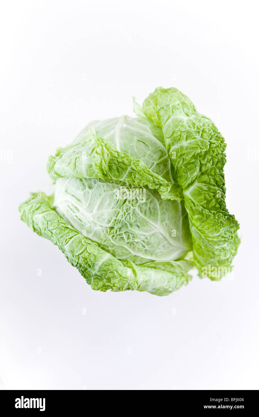 White cabbage, close-up Stock Photo - Alamy