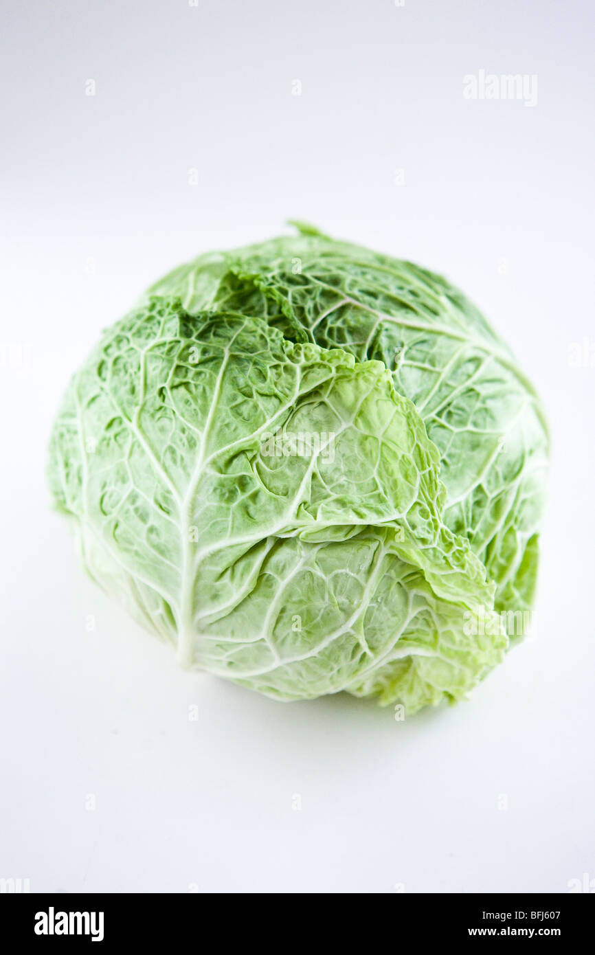 Closeup shot cabbage white hi-res stock photography and images - Alamy