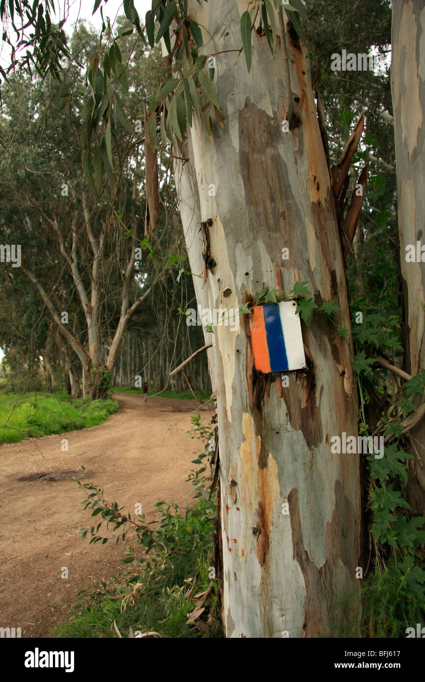 Israel, Sharon region, Israel Trail at Park Hasharon Nature Reserve ...