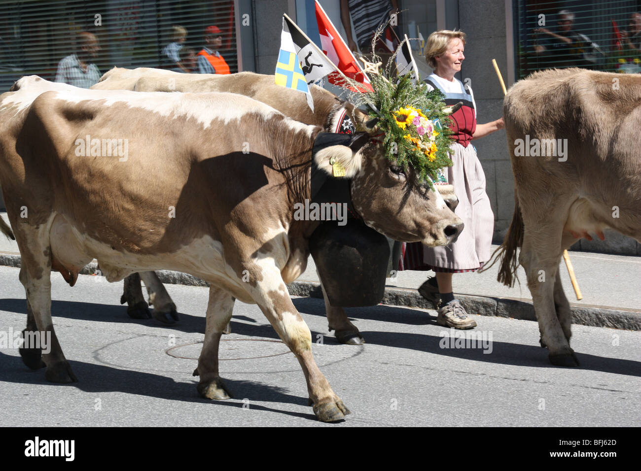 Cow parade hi-res stock photography and images - Alamy