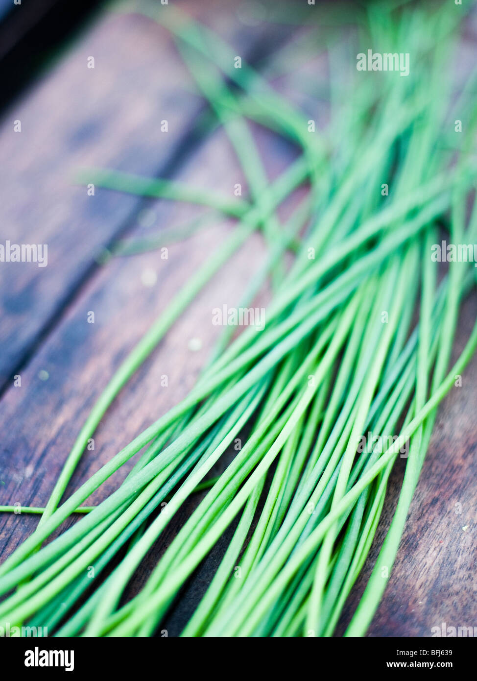 Chives, close-up, Sweden Stock Photo - Alamy