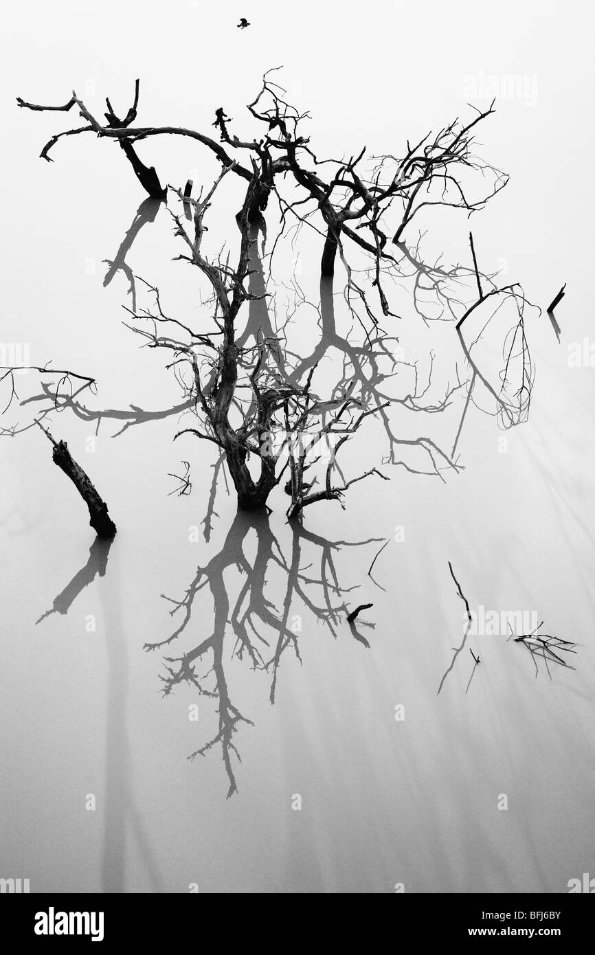 Death water Black and White Stock Photos & Images - Alamy