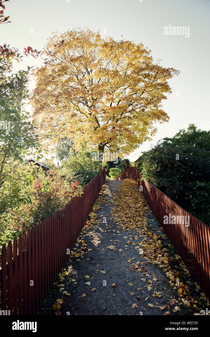 Allotment garden stockholm sweden hi-res stock photography and images ...