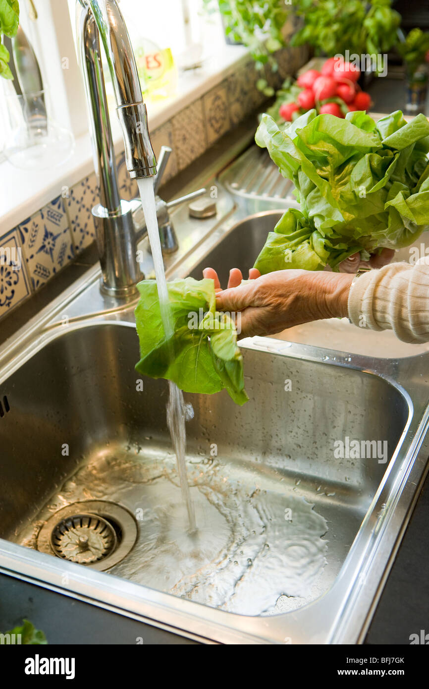 Salad being washed, Sweden Stock Photo - Alamy