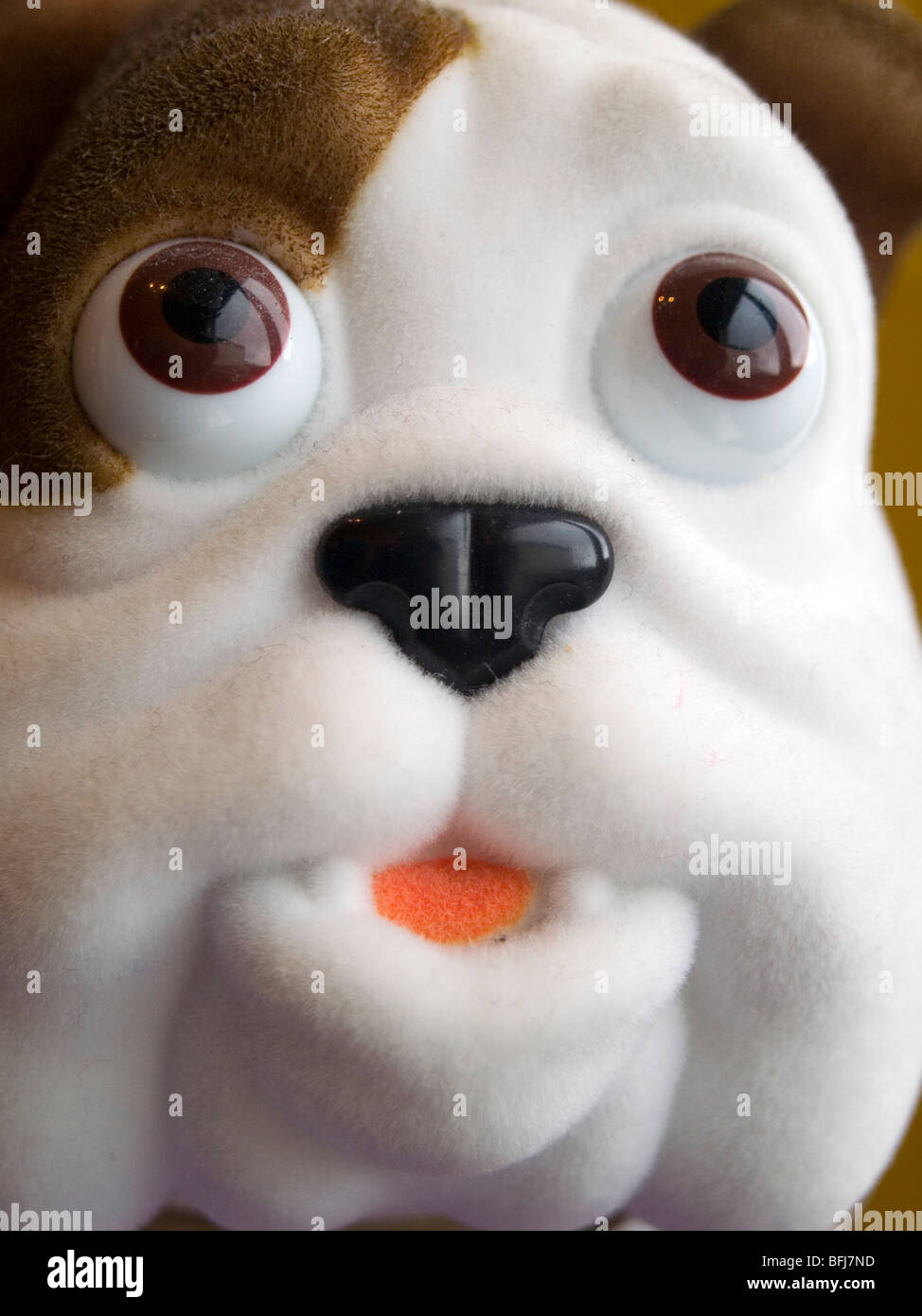 Churchill the dog hi-res stock photography and images - Alamy