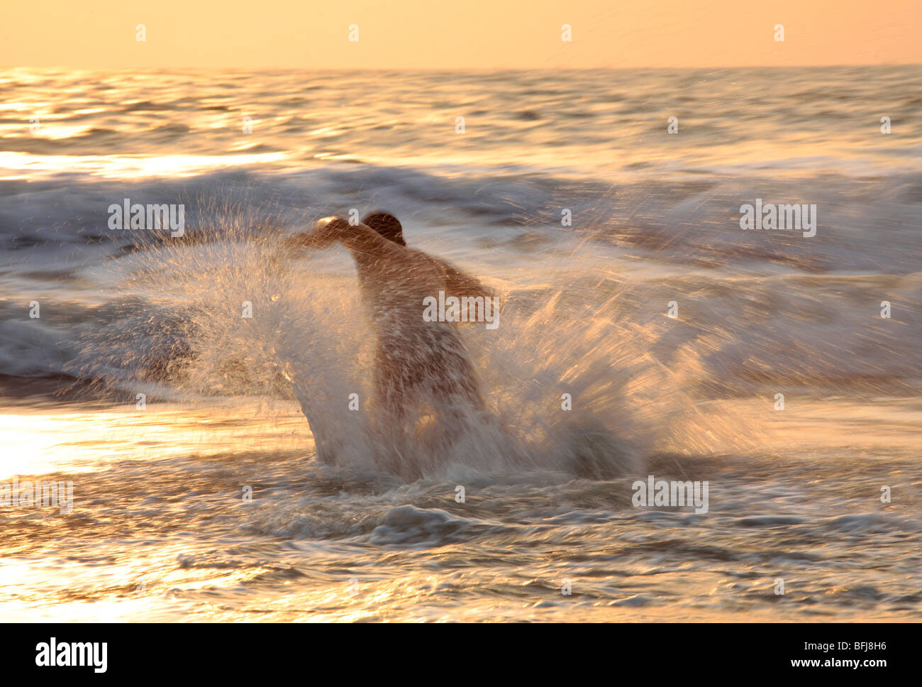 man crashing into the waves at goa Stock Photo - Alamy