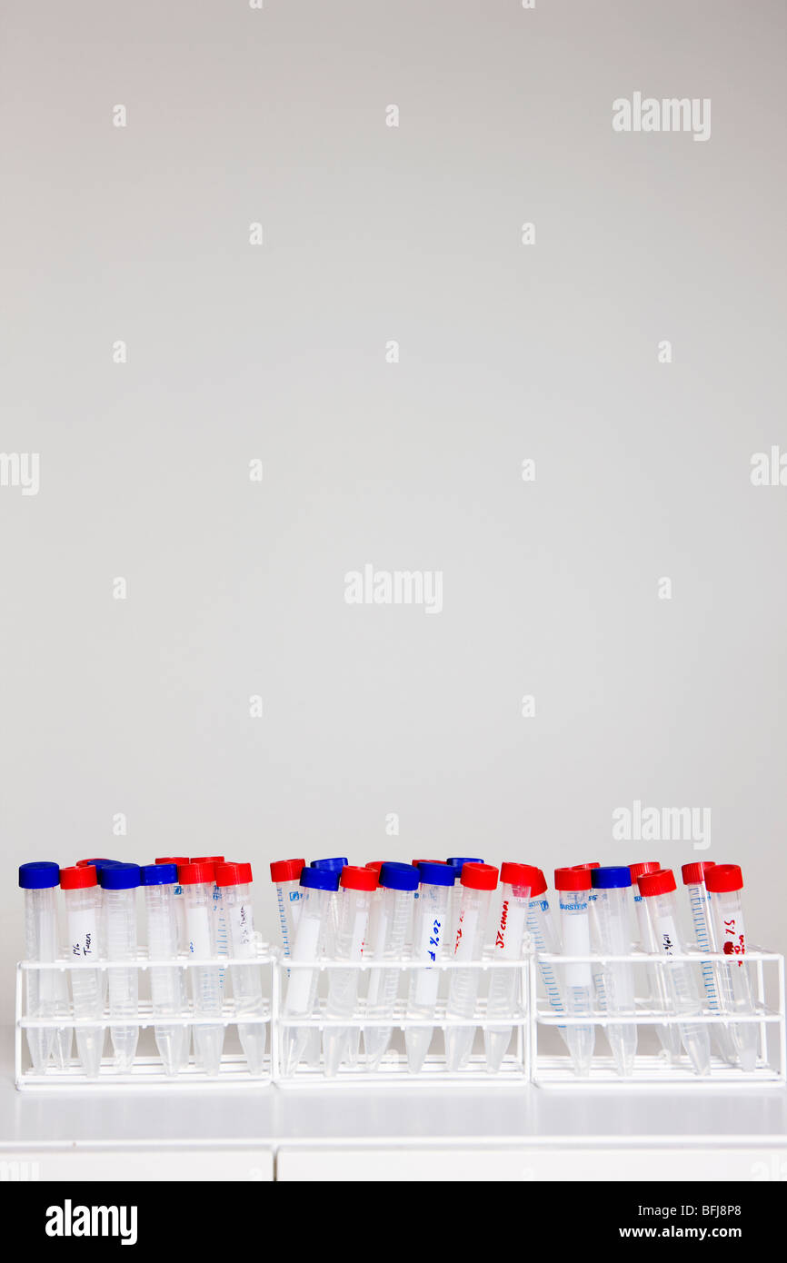 Laboratory evolution hi-res stock photography and images - Alamy