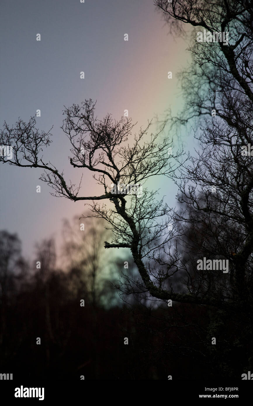 Pot of gold winter sun hi-res stock photography and images - Alamy