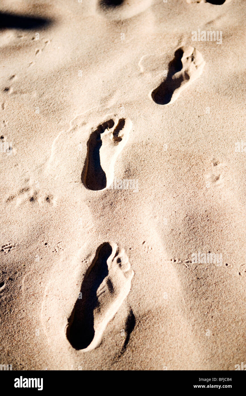 Light footprint hi-res stock photography and images - Alamy