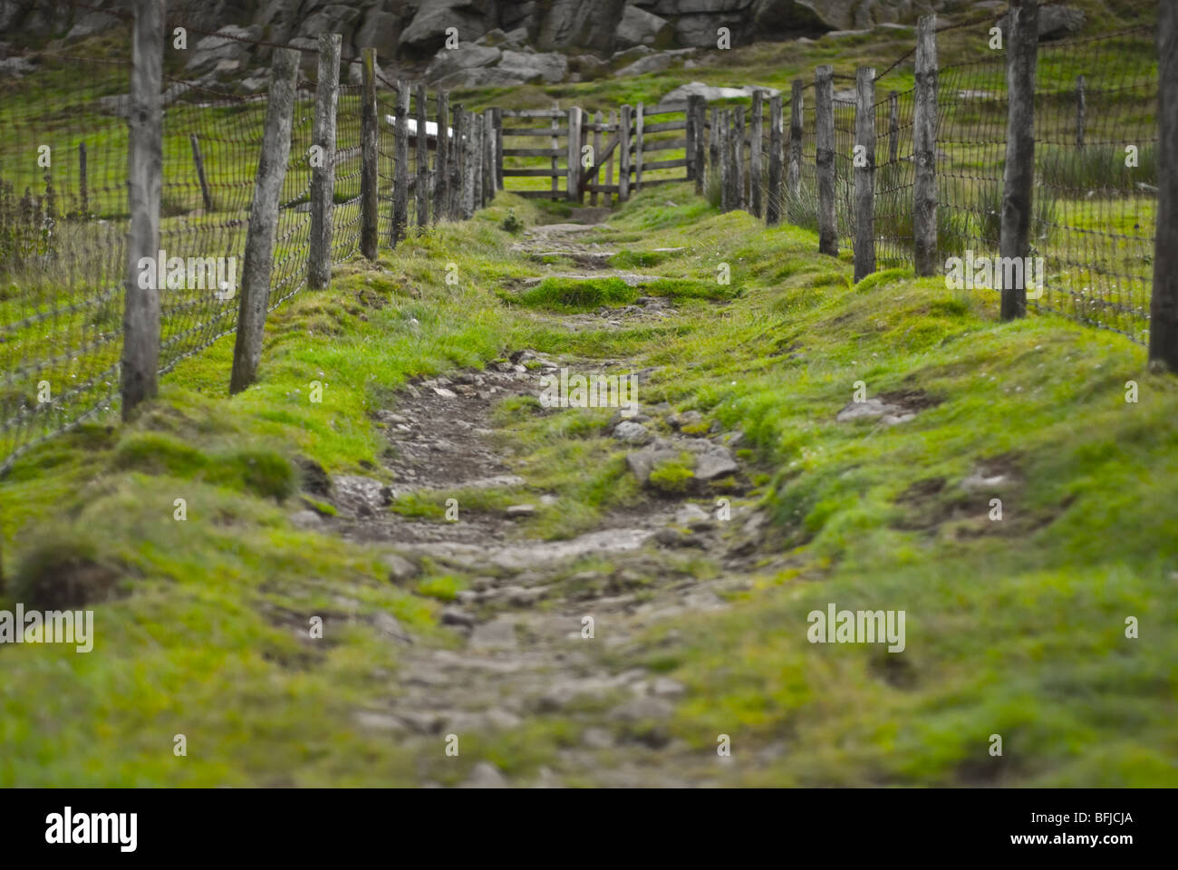 A countryside pathway through sheep enclosures in Derbyshire, England ...