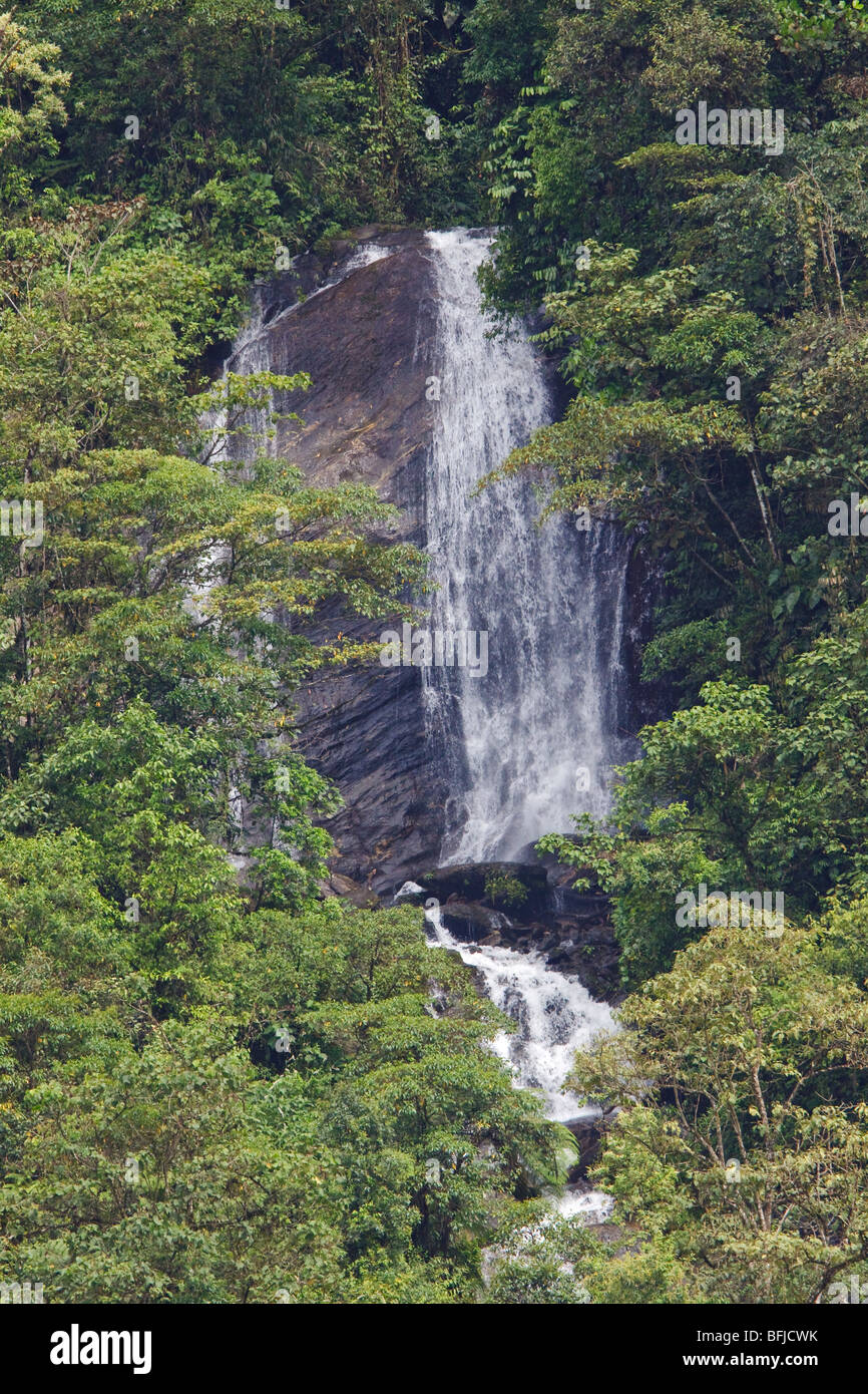 A waterfall in Podocarpus national Park in southeast Ecuador Stock ...