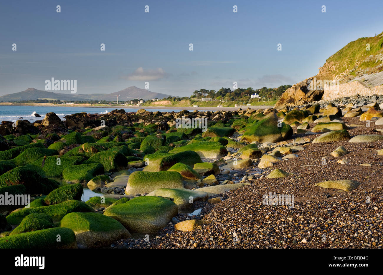 Bfjd4g hi-res stock photography and images - Alamy