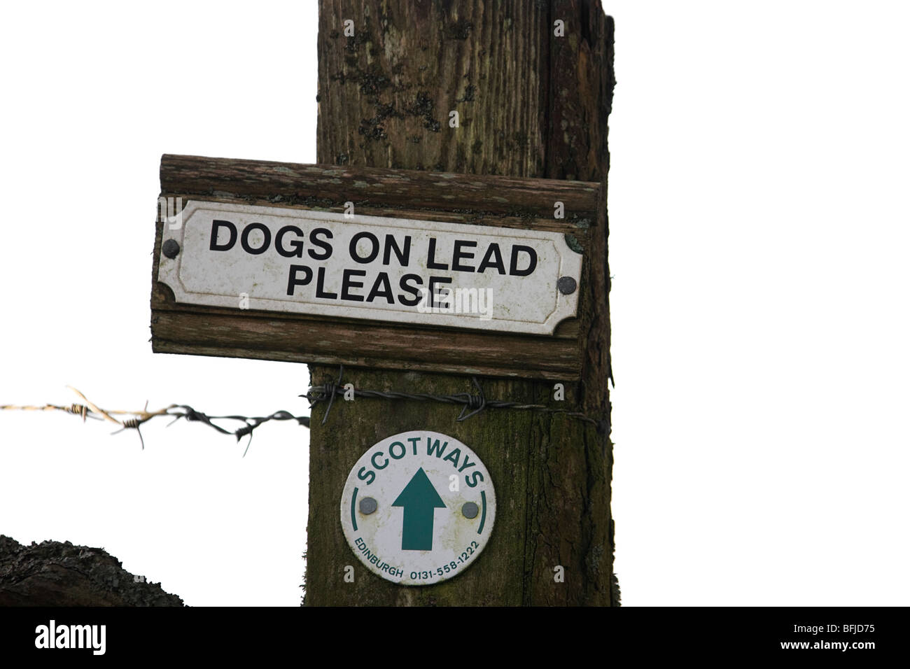 Southern upland way hi-res stock photography and images - Alamy