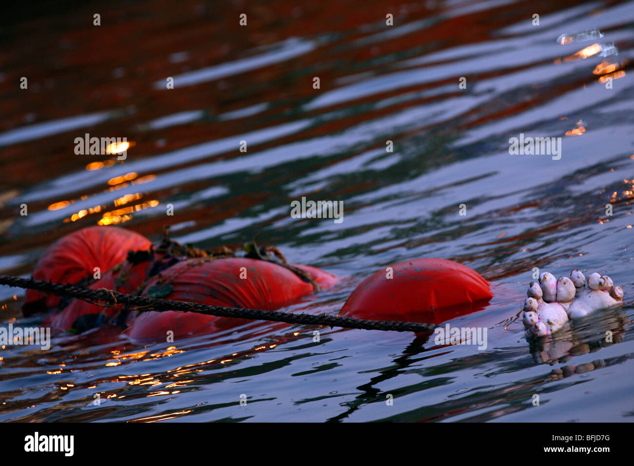 Indian burial hi-res stock photography and images - Alamy